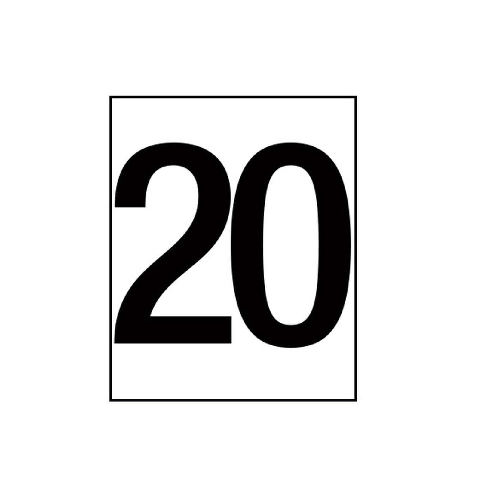 AgBoss 3pc 250mm Arena Marker Number '20' | 780599 | The Grit